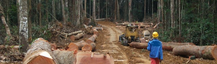 Natural Resource Extraction